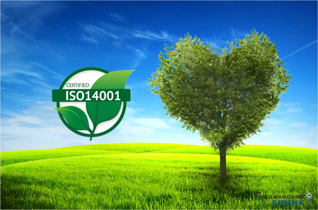 ISO 14000 BCAG S C BUSINESS CONSULTING ADVISORY GROUP
